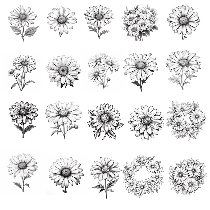 Procreate Daisy Flower Stamps 100 Daisy Flower Procreate Brushes ...
