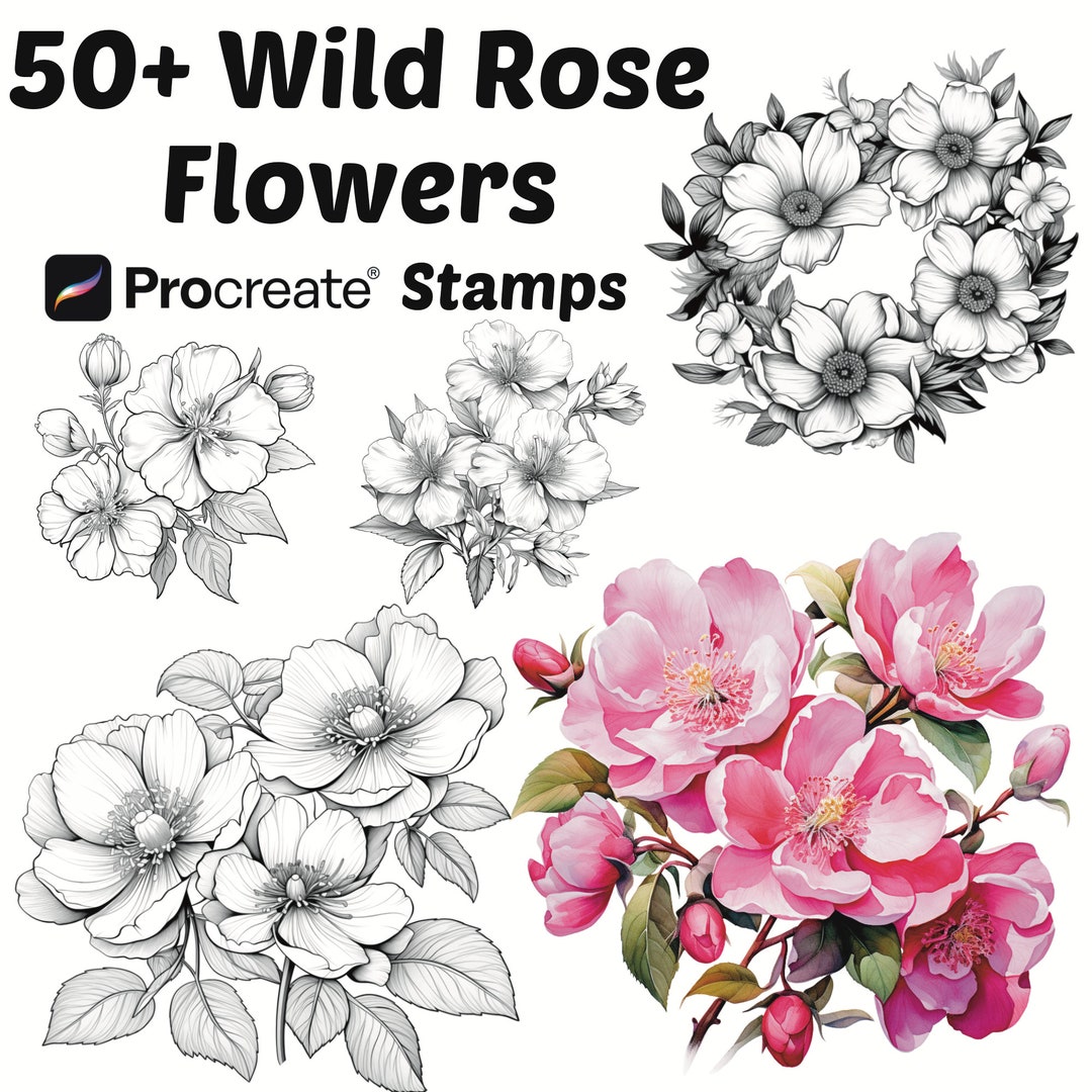 Procreate Wild Rose Flower Stamps | 50+ Wild Rose Flower Procreate ...