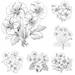 Flowers PNG | 50 Geranium Flowers Png | Floral PNG | Wildflowers PNG ...