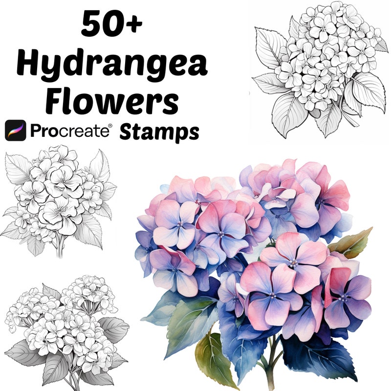 Hydrangea Stamp - Etsy