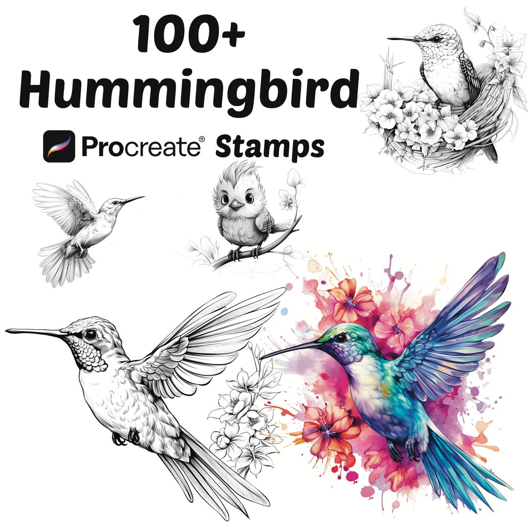 Procreate Animals Stamps | 100+ Humming Birds Procreate Brushes | Animals Procreate Brushes ...