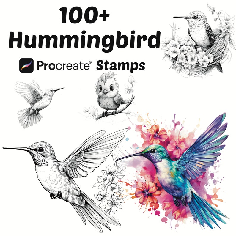 Procreate Animals Stamps | 100+ Humming Birds Procreate Brushes ...