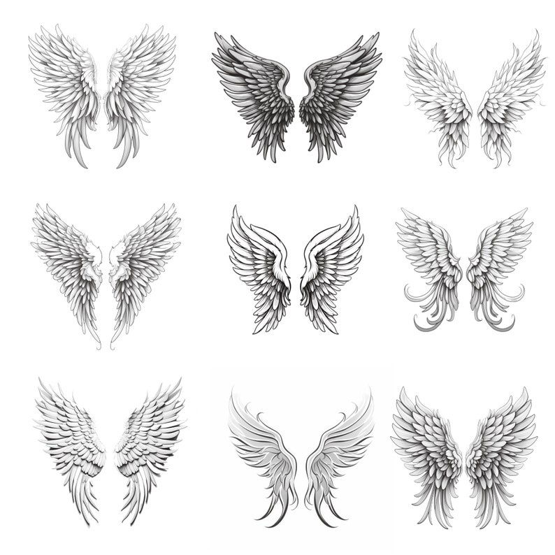 Procreate Angel Wings Stamps | 100+ Angel Wings Procreate Brushes ...