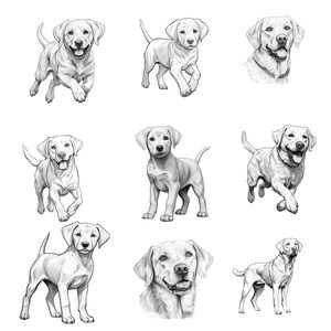 Procreate Labrador Retriever Dog Animals Stamps | 100+ Dogs Procreate ...