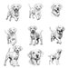 Procreate Labrador Retriever Dog Animals Stamps | 100+ Dogs Procreate ...