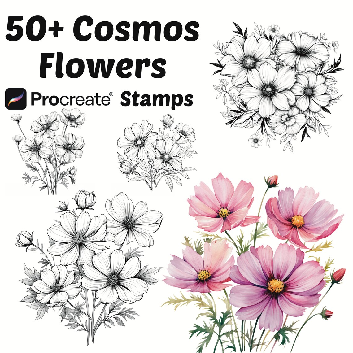 Procreate Cosmos Flower Stamps | 50+ Cosmos Flower Procreate Brushes ...