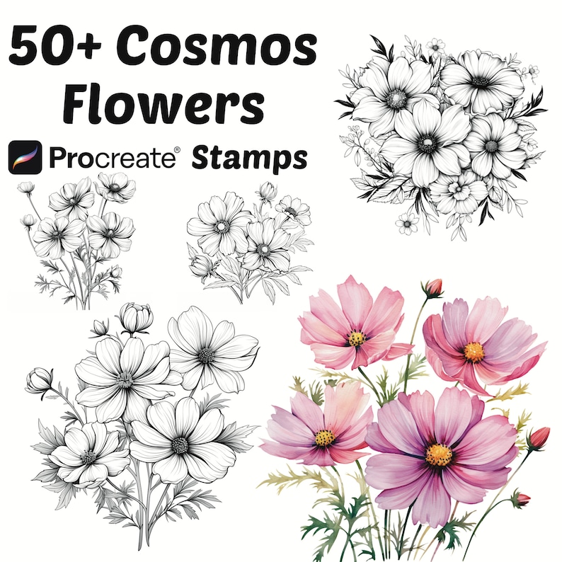 Procreate Cosmos Flower Stamps 50 Cosmos Flower Procreate Brushes ...