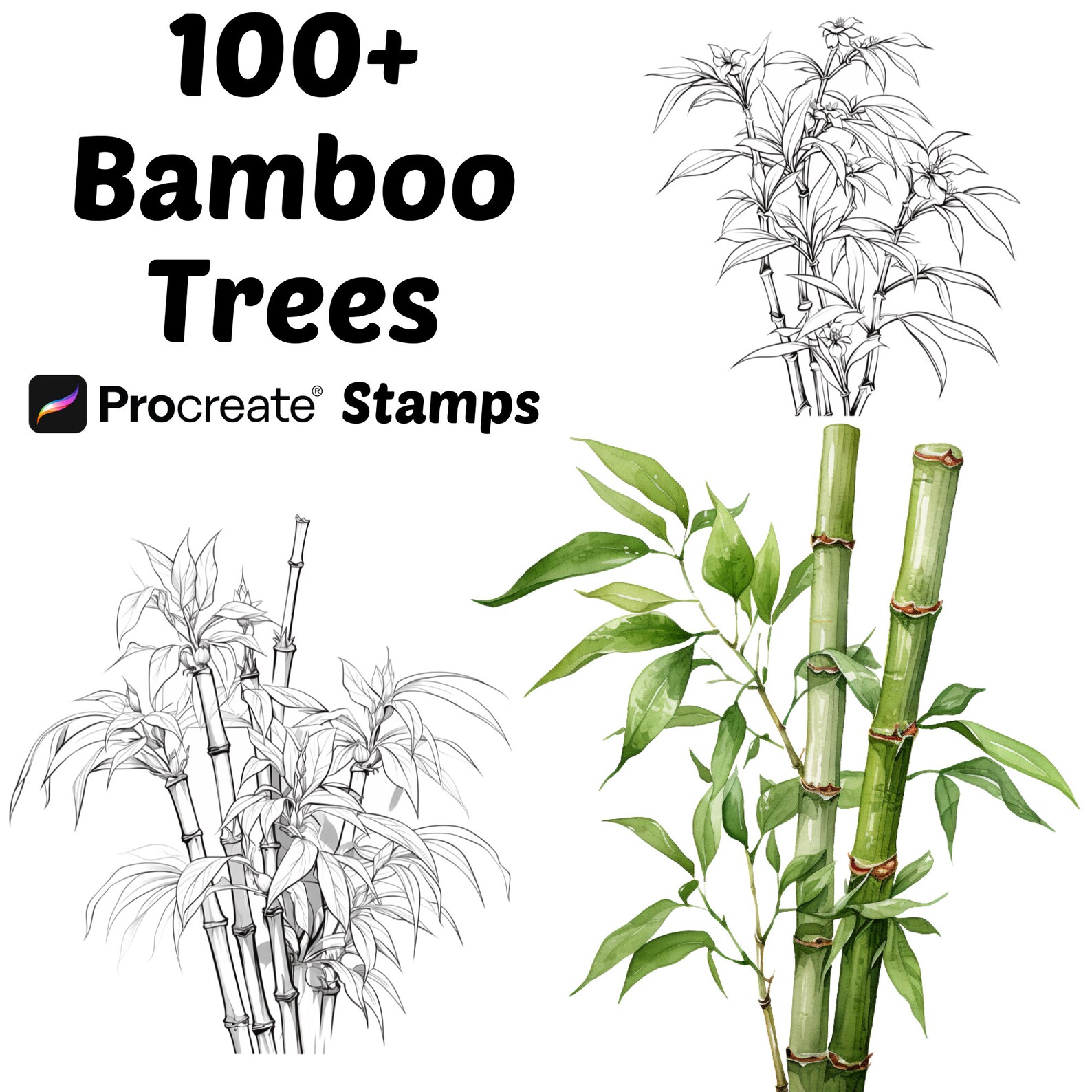 Procreate Bamboo Plant Stamps | 100+ Bamboo Plants Procreate Brushes ...
