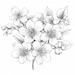 Procreate Hawthorn Flower Stamps | 50+ Hawthorn Flower Procreate ...