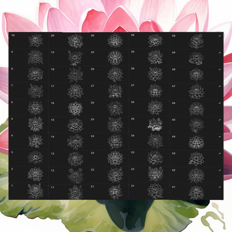 Procreate Lotus Flower Stamps | 100+ Lotus Flower Procreate Brushes ...
