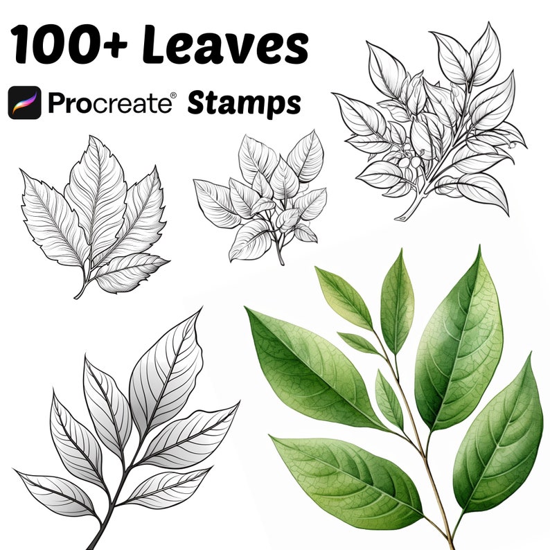 Procreate Leaves Stamps 100 Leaves Procreate Brushes Botanical ...