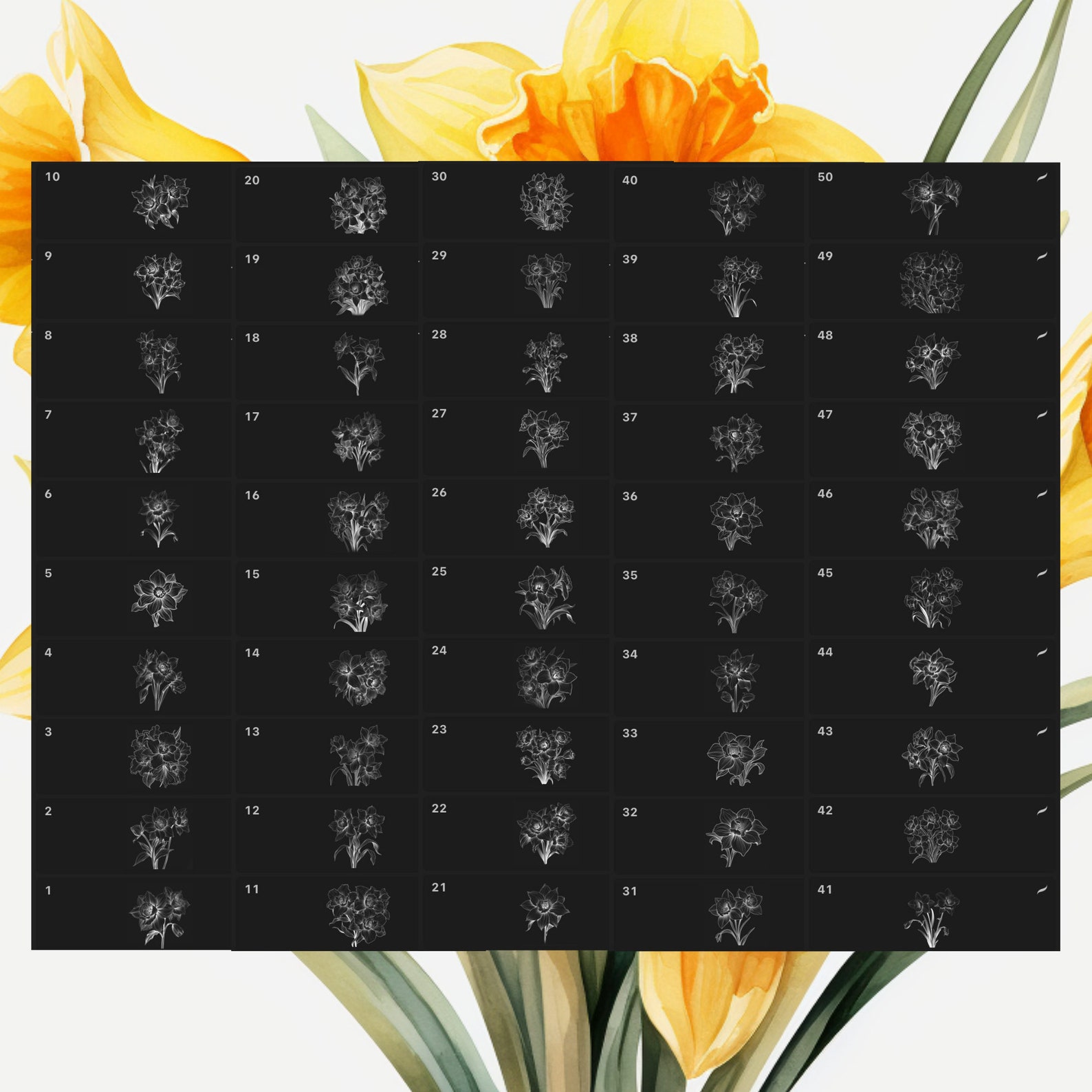 Procreate Daffodils Flower Stamps 100 Daffodils Flower Procreate ...