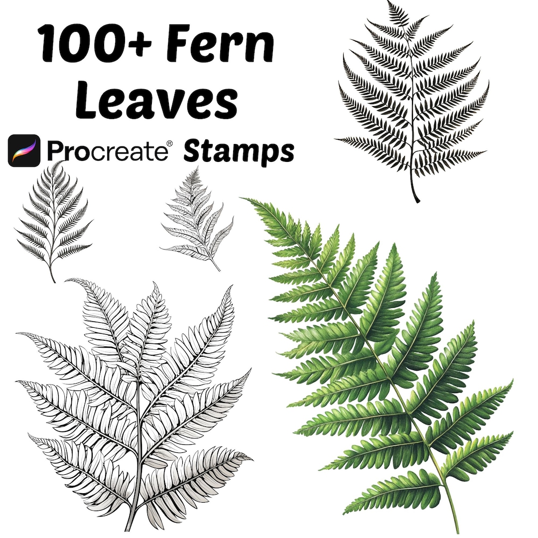 Procreate Fern Leaf Stamps | 100+ Fern Leaves Procreate Brushes ...