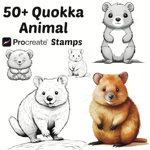 Procreate Animals Stamps | 50+ Quokka Procreate Brushes | Animals ...