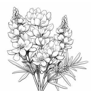 Procreate Bluebonnet Flower Stamps | 50+ Bluebonnet Flower Procreate ...