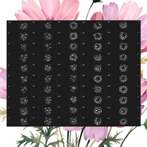Procreate Cosmos Flower Stamps | 50+ Cosmos Flower Procreate Brushes ...