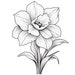 Procreate Daffodils Flower Stamps 100 Daffodils Flower Procreate ...