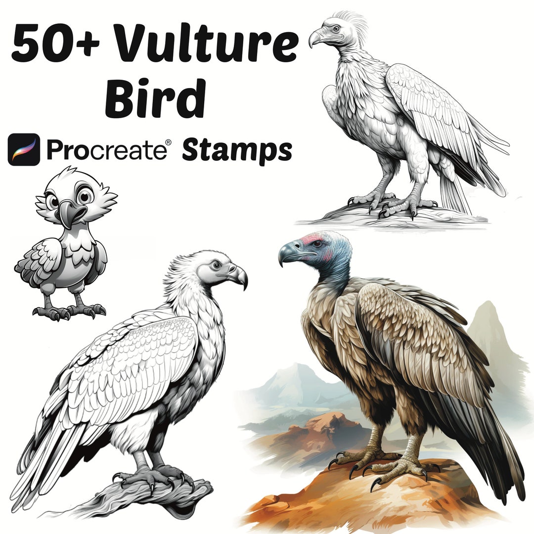 Procreate Animals Stamps | 50+ Vulture Procreate Brushes | Animal ...