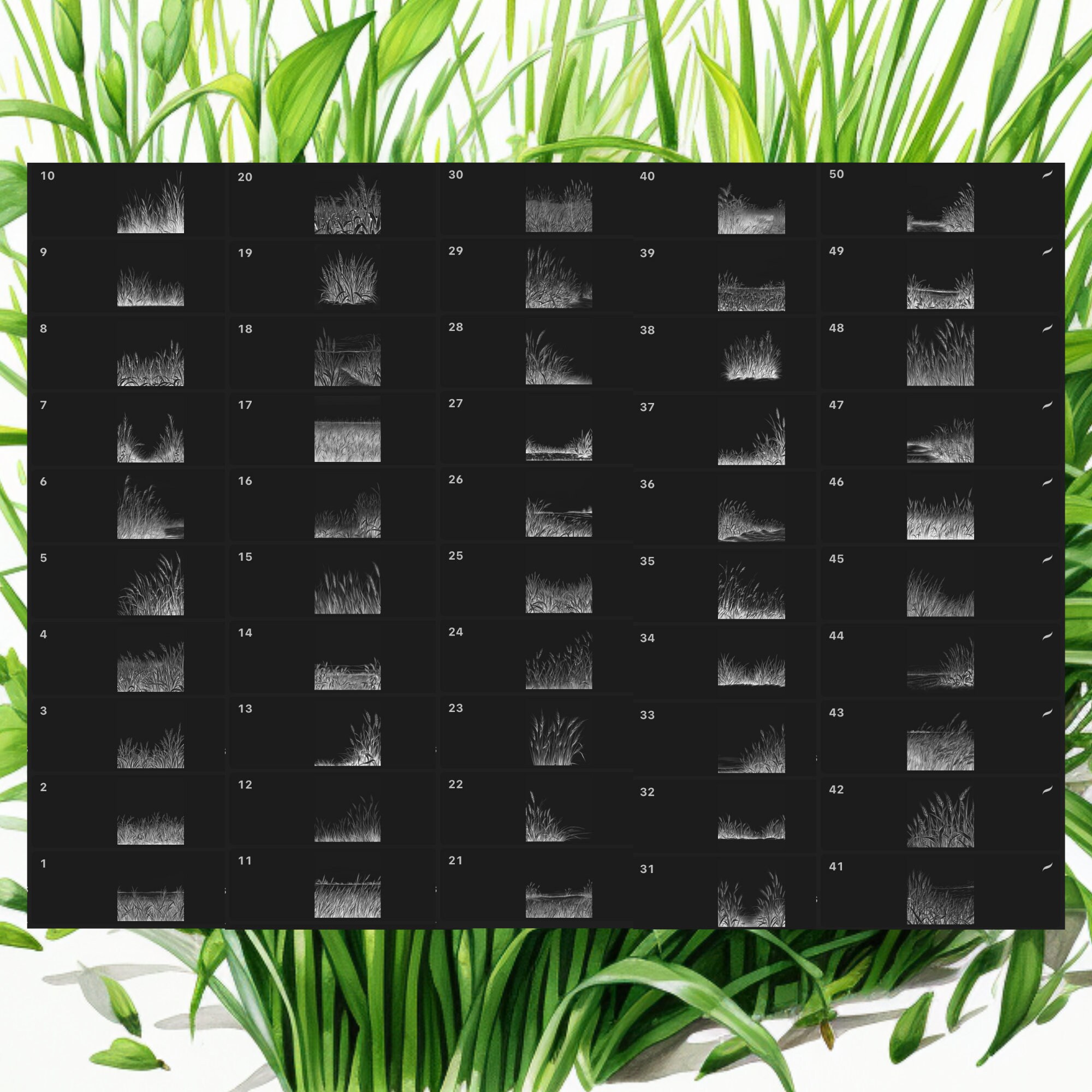 Procreate Grasses Stamps | 100+ Grass Procreate Brushes | Botanical ...