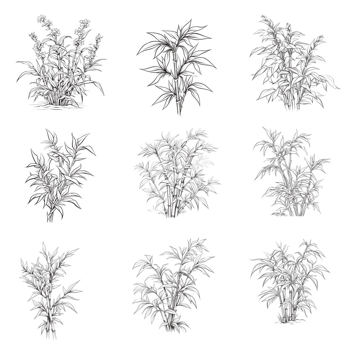 Procreate Bamboo Plant Stamps | 100+ Bamboo Plants Procreate Brushes ...