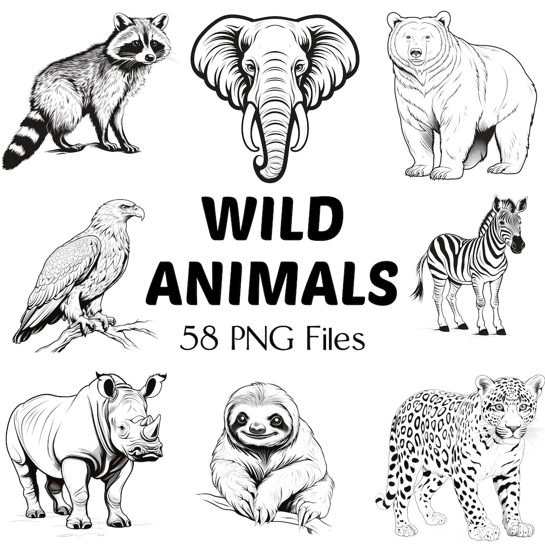 Wild Animals PNG | 58 Wild Animals Clipart | Lion | Giraffe | Elephant ...