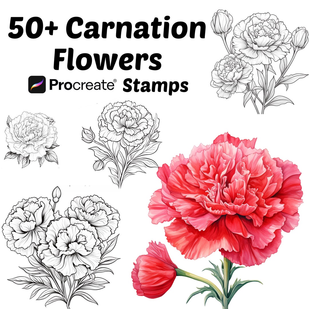 Procreate Carnation Flower Stamps | 50+ Carnation Flower Procreate ...