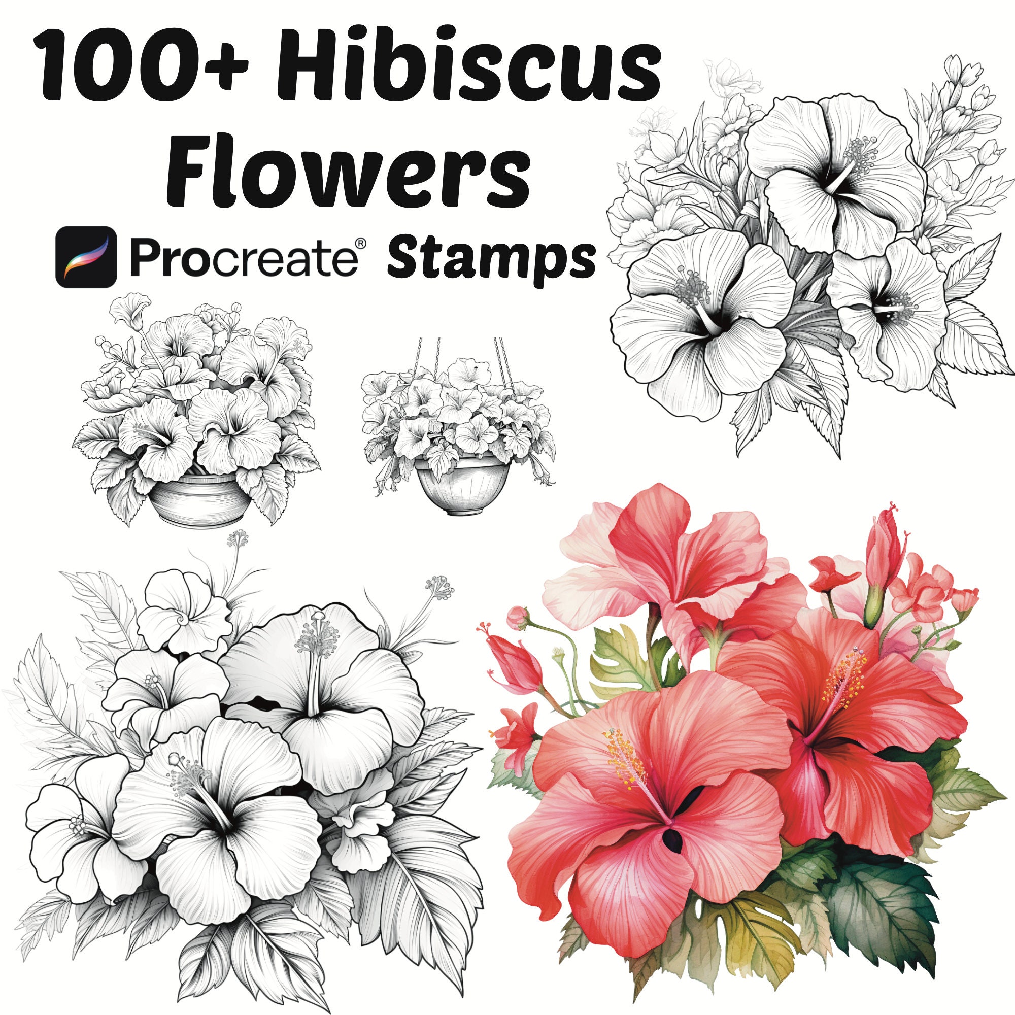 Procreate Hibiscus Flower Stamps 100 Hibiscus Flower Procreate Brushes ...