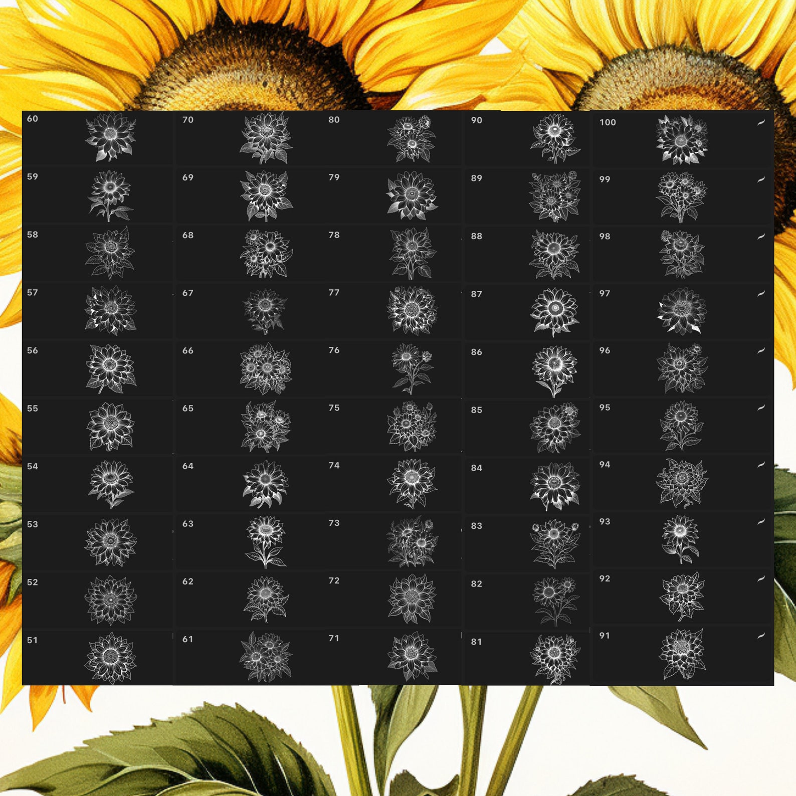 Procreate Sunflower Stamps | 100+ Sunflower Procreate Brushes ...