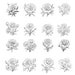 Procreate Carnation Flower Stamps | 50+ Carnation Flower Procreate ...