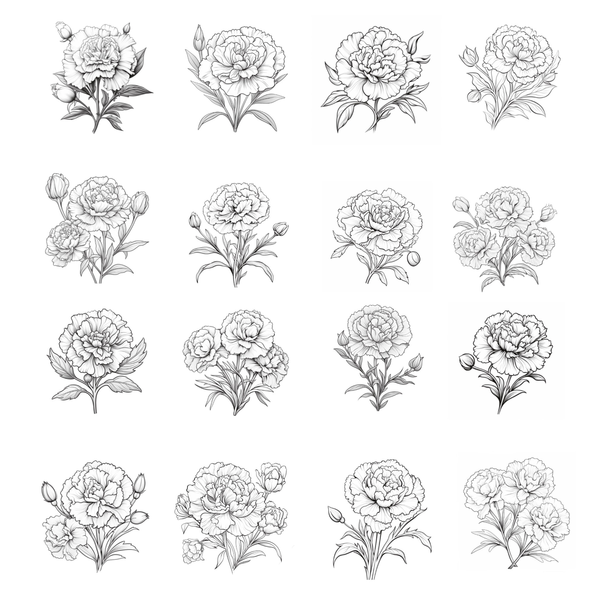 Procreate Carnation Flower Stamps 50 Carnation Flower - Etsy
