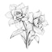 Procreate Daffodils Flower Stamps 100 Daffodils Flower Procreate ...