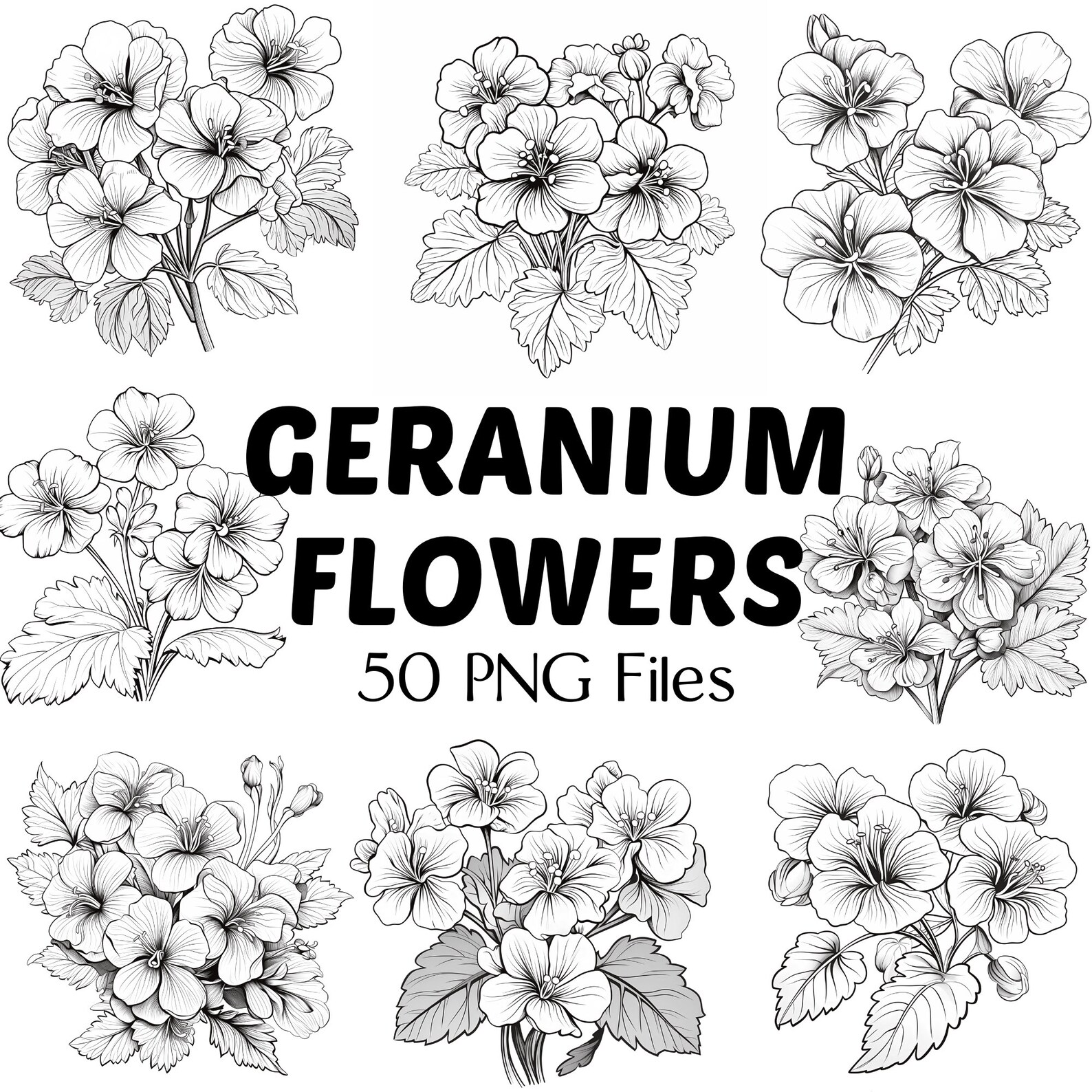Flowers PNG | 50 Geranium Flowers Png | Floral PNG | Wildflowers PNG ...