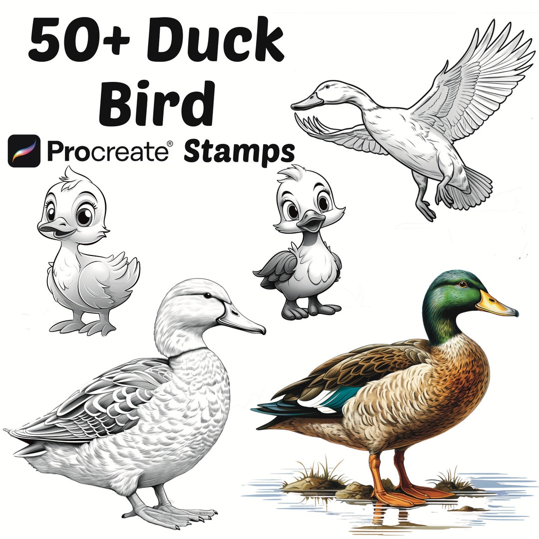 Procreate Animals Stamps | 50+ Duck Bird Procreate Brushes | Animal ...