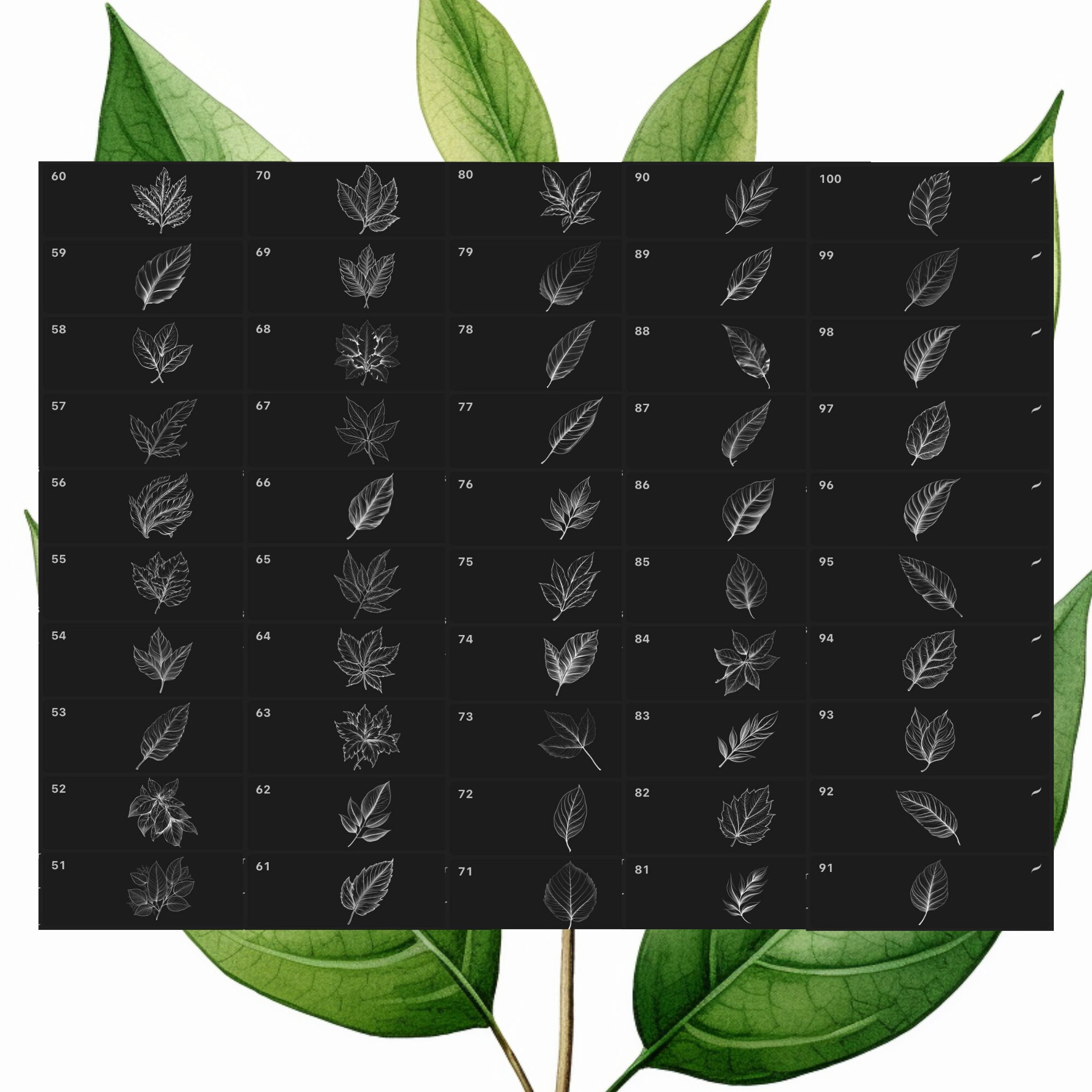 Procreate Leaves Stamps 100 Leaves Procreate Brushes Botanical ...