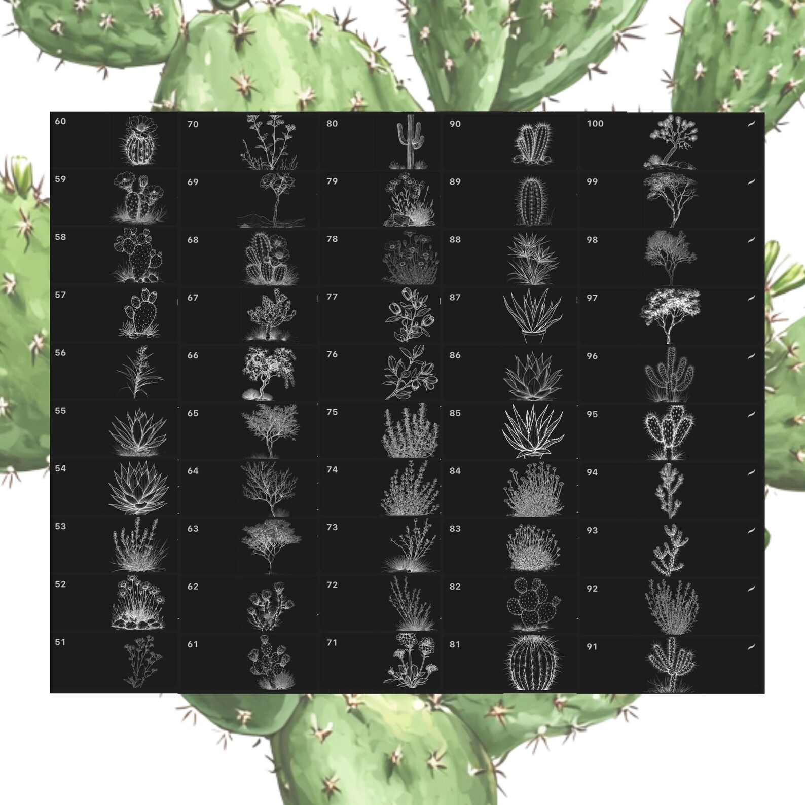 Procreate Desert Plants Stamps | 100+ Plants Procreate Brushes ...