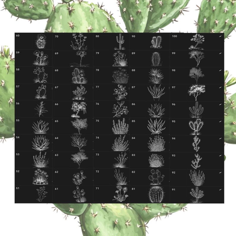 Procreate Desert Plants Stamps | 100+ Plants Procreate Brushes ...