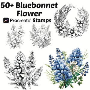 Procreate Bluebonnet Flower Stamps | 50+ Bluebonnet Flower Procreate ...