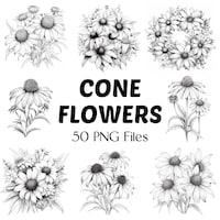 Cone Flower - Etsy