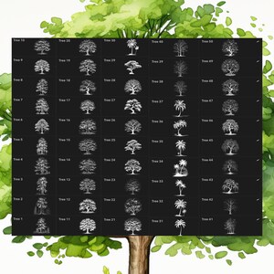Procreate Trees Stamps | 100+ Trees Procreate Brushes | Botanical ...