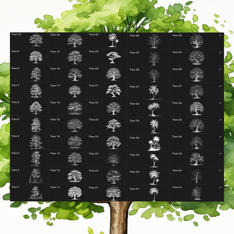 Procreate Trees Stamps | 100+ Trees Procreate Brushes | Botanical ...