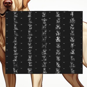 Procreate Labrador Retriever Dog Animals Stamps | 100+ Dogs Procreate ...