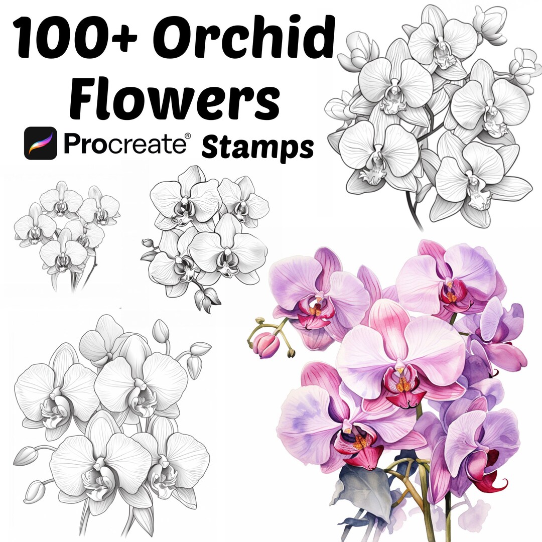 Procreate Orchid Flower Stamps | 100+ Orchid Flower Procreate Brushes ...