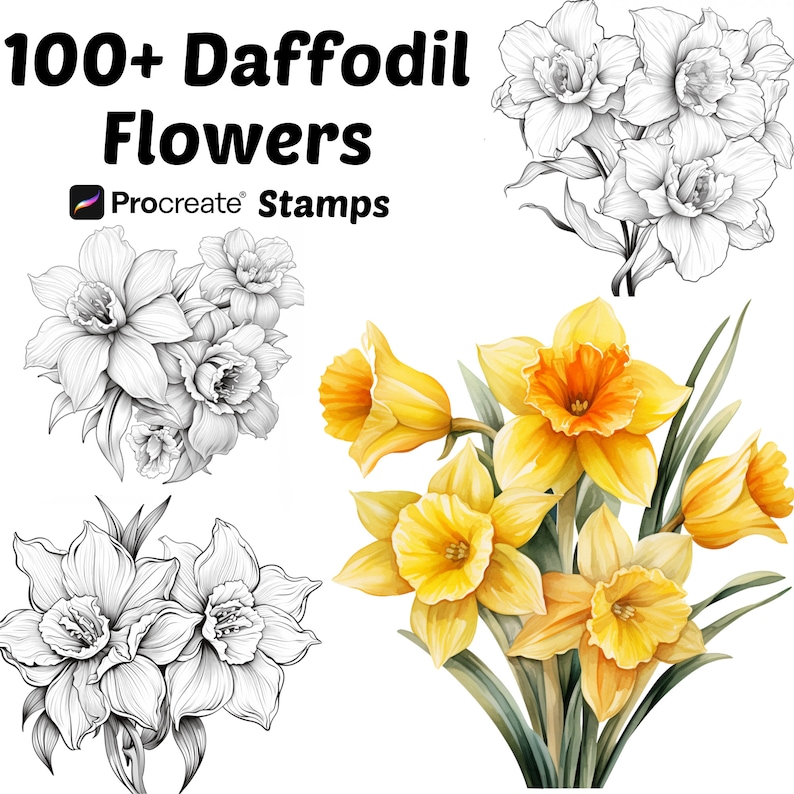 Procreate Daffodils Flower Stamps 100 Daffodils Flower Procreate Brushes Botanical Procreate ...