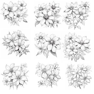 Procreate Clematis Flower Stamps | 50+ Clematis Flower Procreate Brushes | Botanical Procreate ...