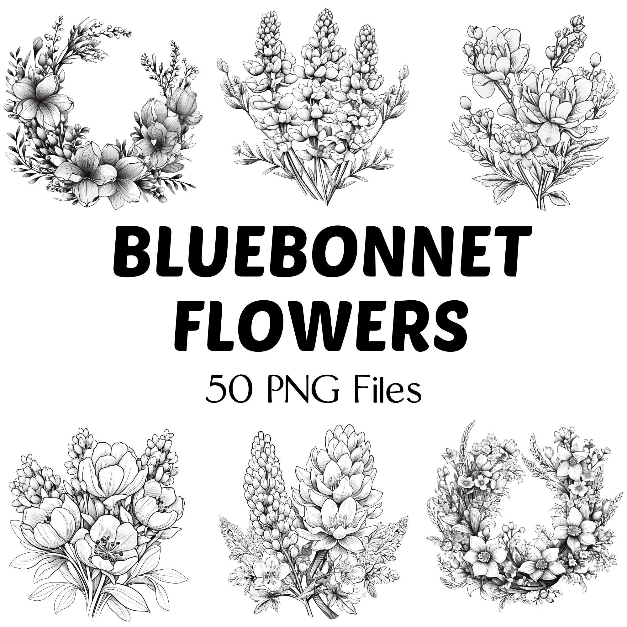 Bluebonnet Drawing Black And White