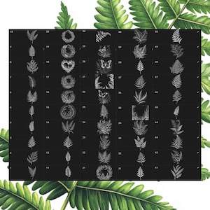 Procreate Fern Leaf Stamps | 100+ Fern Leaves Procreate Brushes ...