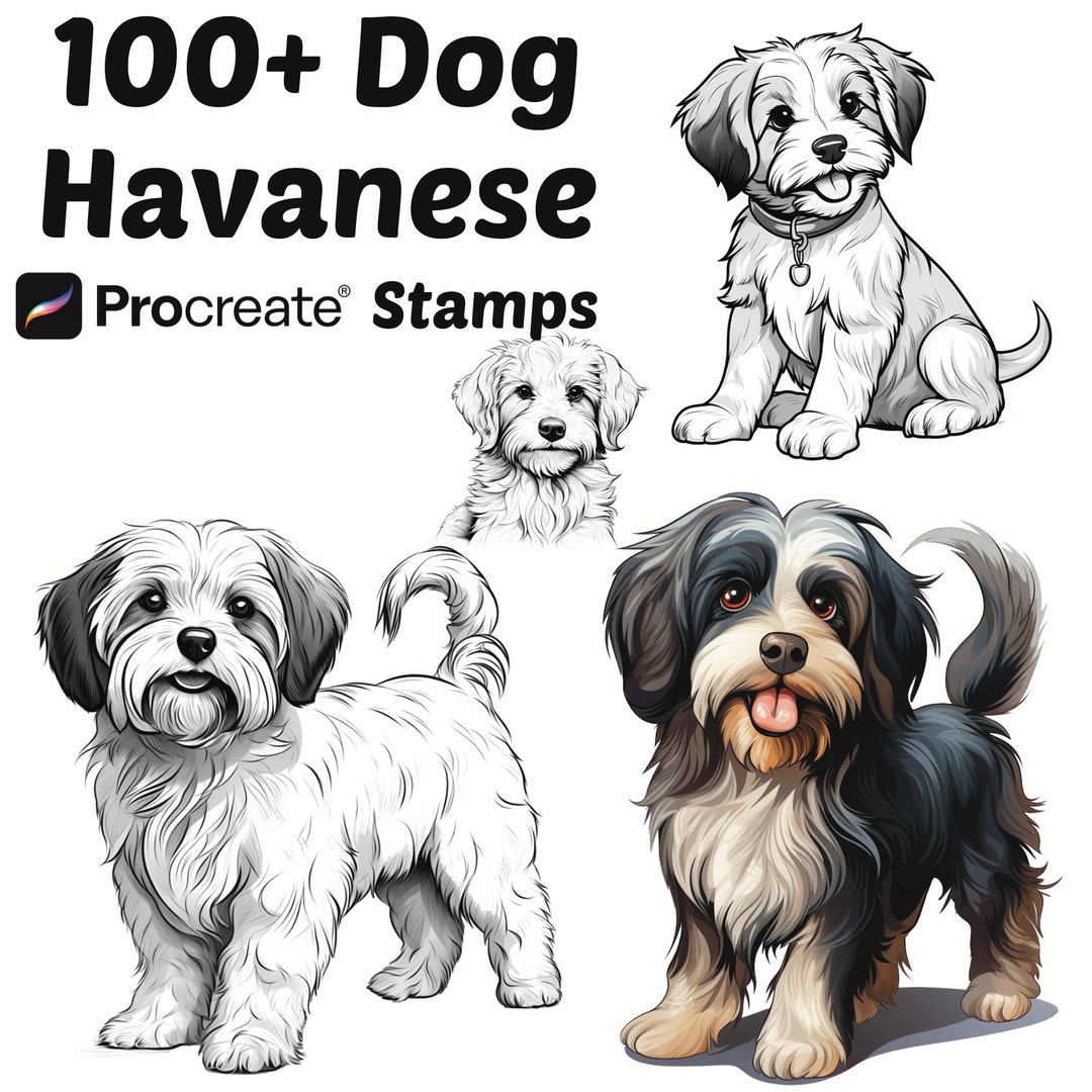 Procreate Havanese Dog Animals Stamps | 100+ Dogs Procreate Brushes ...