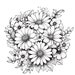 Procreate Daisy Flower Stamps 100 Daisy Flower Procreate Brushes ...