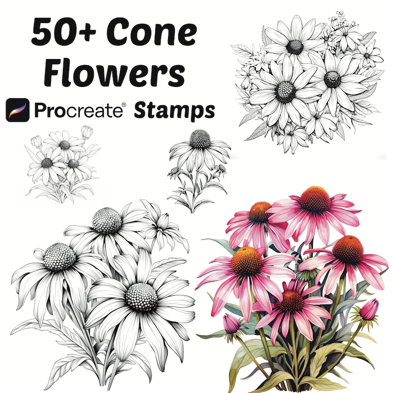 Cone Flower - Etsy