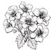 Flowers PNG | 50 Geranium Flowers Png | Floral PNG | Wildflowers PNG ...